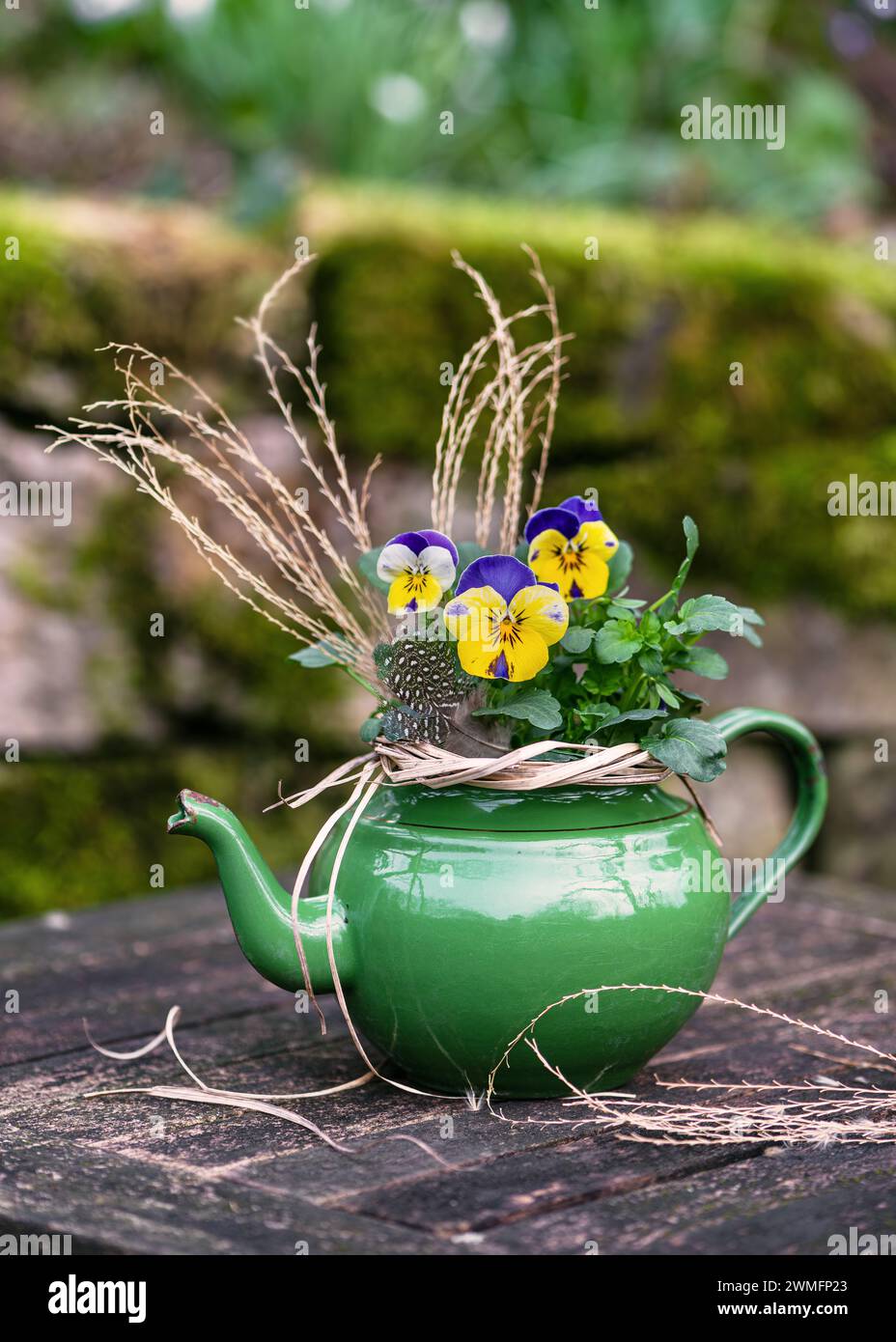 Flower arrangement with colorful horned pansy flowers in a rustic green ...