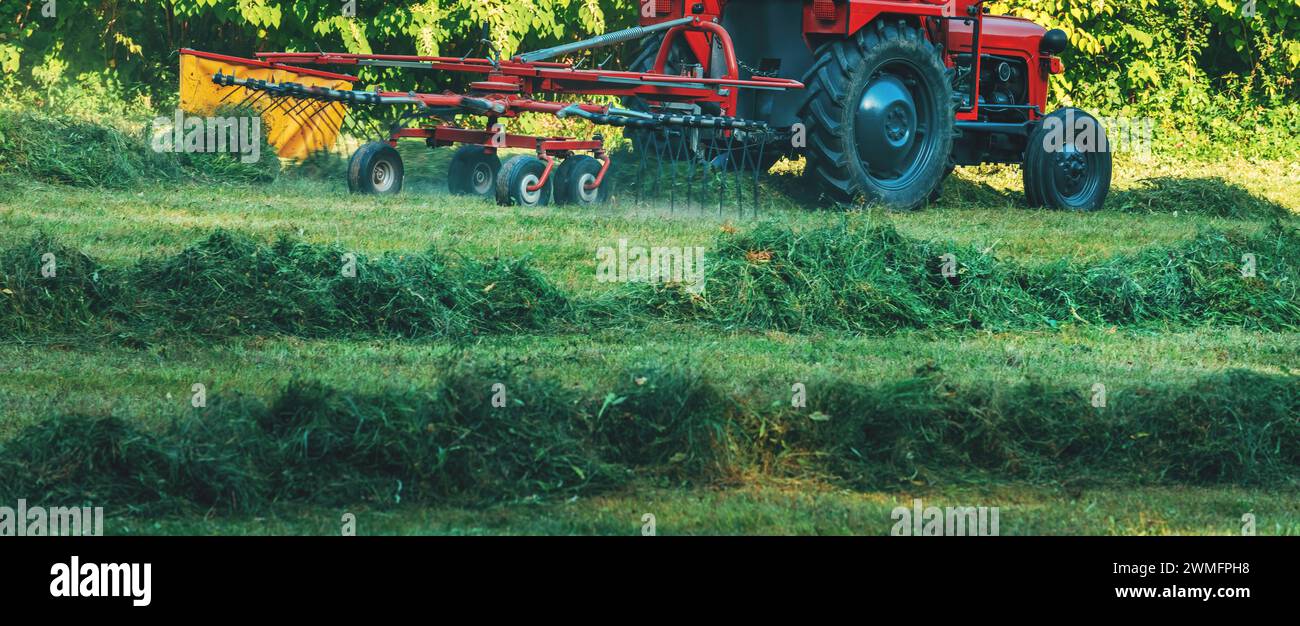 Agricultural gathering hi-res stock photography and images - Alamy