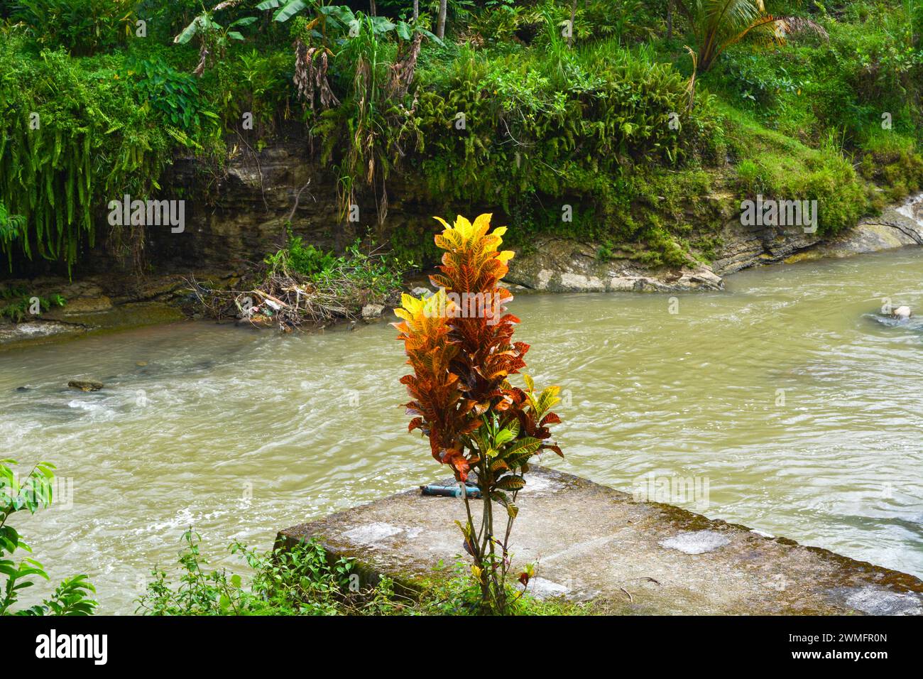 A fast-flowing stream and dramatic lenticular clouds against a dark sky ...
