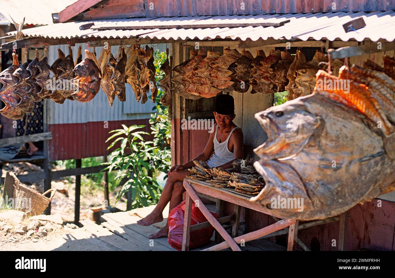 Rantepao. Sale of dried fish. Tana Toraja, Sulawesi, Indonesia Stock ...