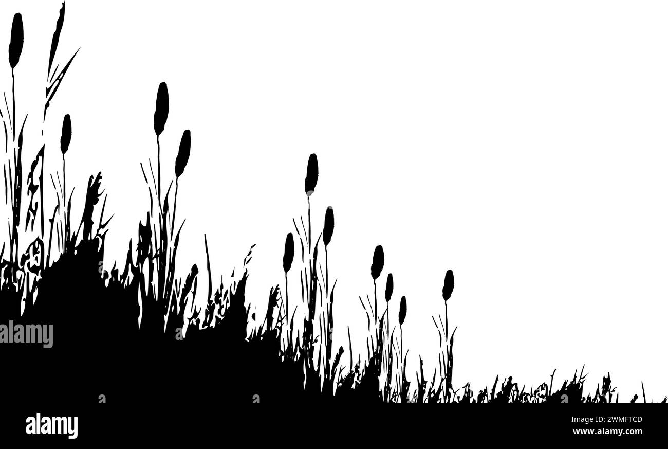 Black Grass Graphic Silhouetteimage Of A Monochrome Reedgrass Or Bulrush On A White Background
