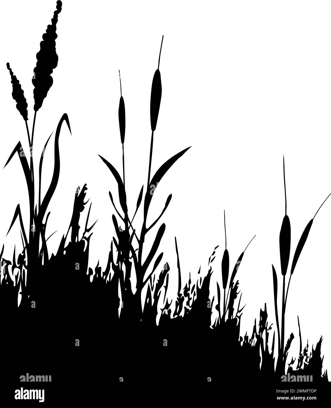 Black Grass Graphic Silhouetteimage Of A Monochrome Reedgrass Or Bulrush On A White Background