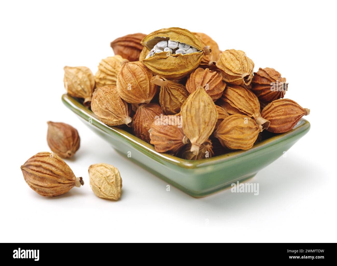 Dried Herbs, Latin name: Amomum villosum Lour. Chinese name: Xiang Sha ...