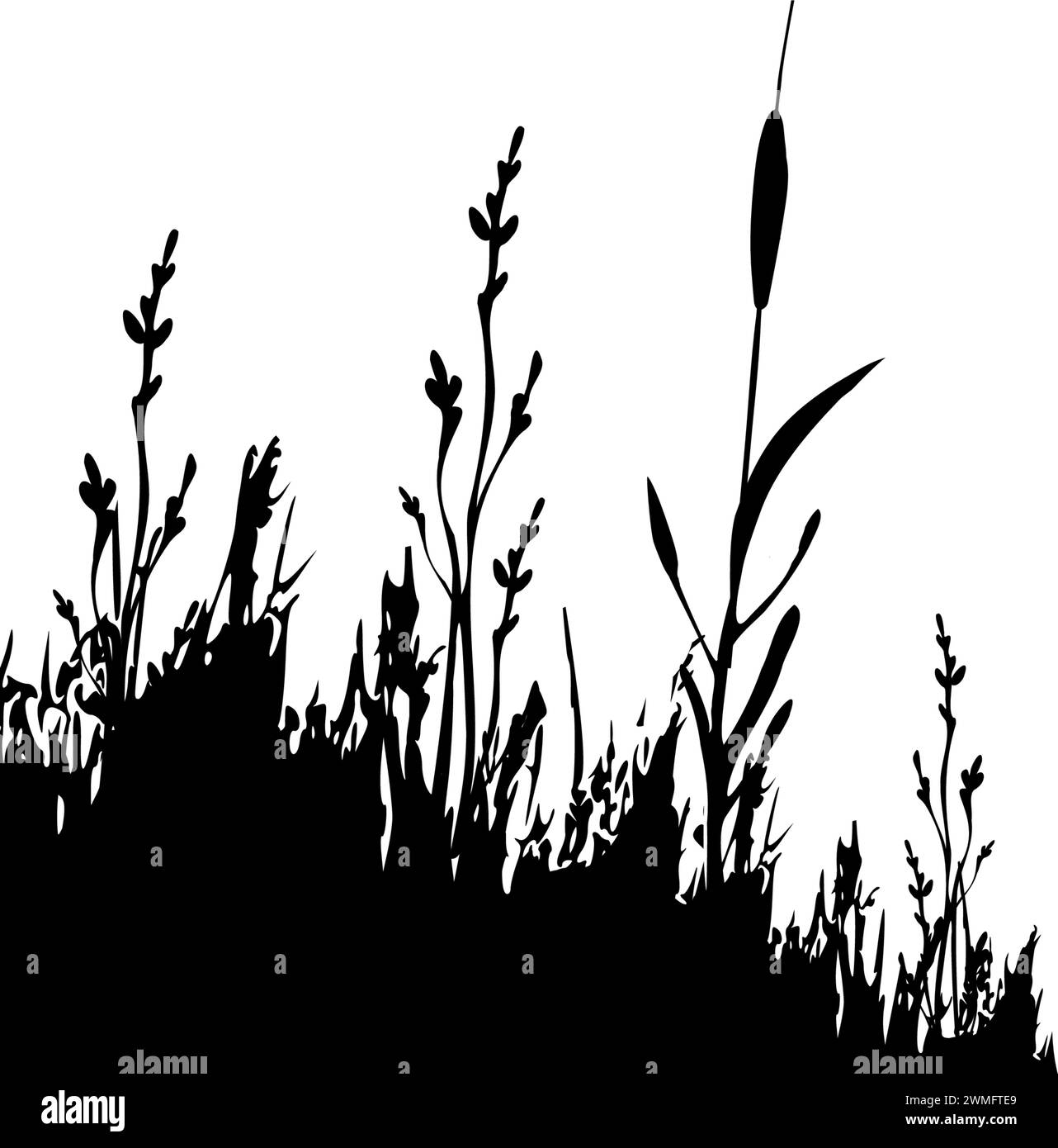 Black Grass Graphic Silhouetteimage Of A Monochrome Reedgrass Or Bulrush On A White Background