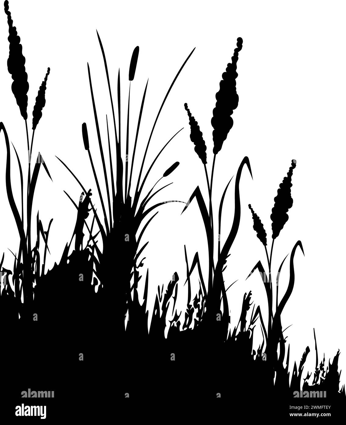 Black grass graphic silhouette.Image of a monochrome reed,grass or ...