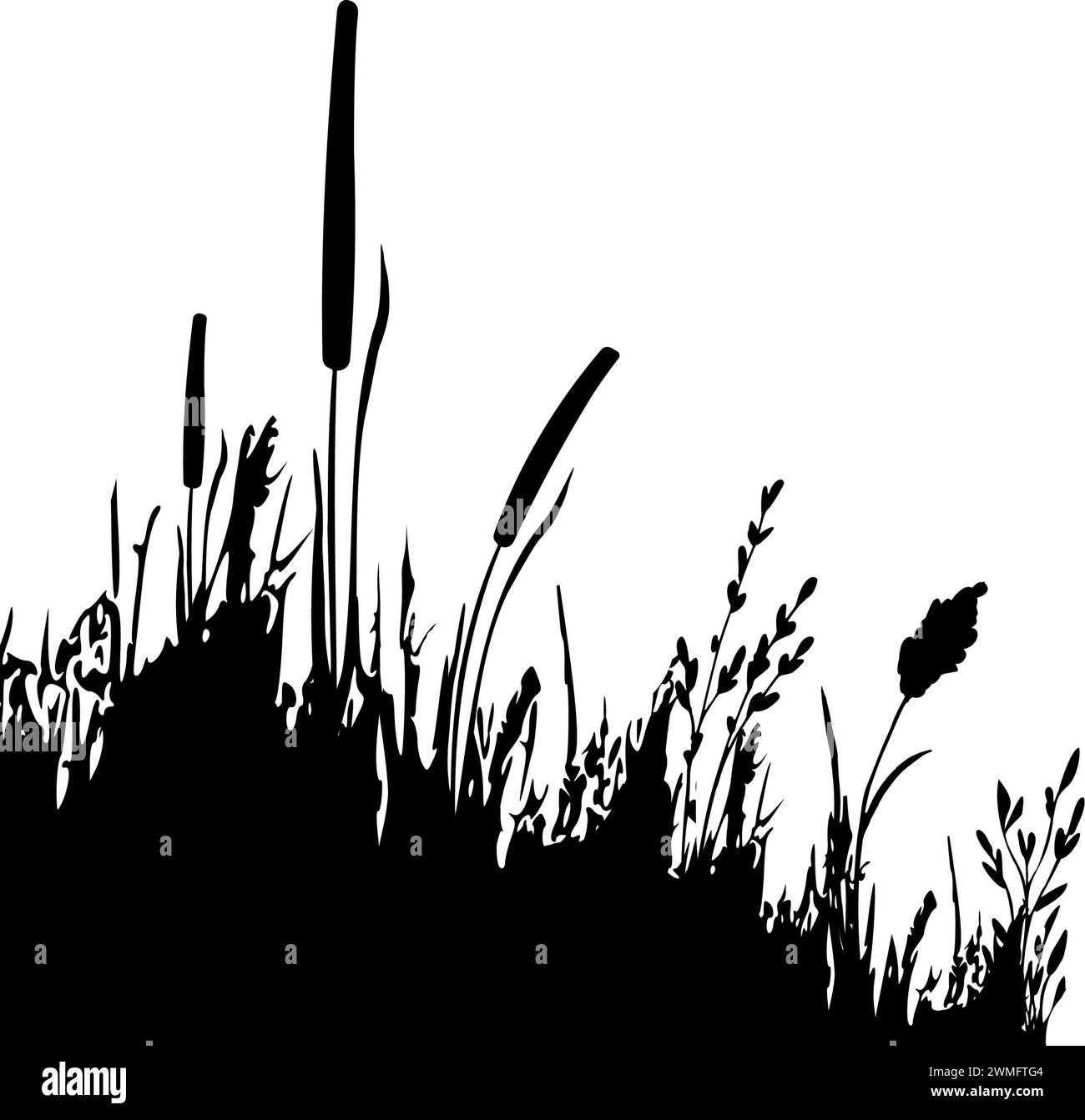 Black Grass Graphic Silhouetteimage Of A Monochrome Reedgrass Or Bulrush On A White Background