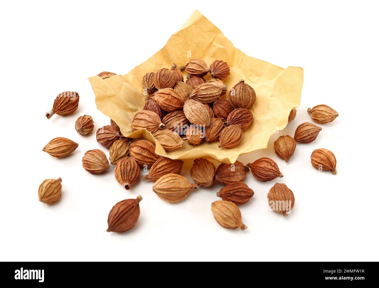 Dried Herbs, Latin name: Amomum villosum Lour. Chinese name: Xiang Sha ...