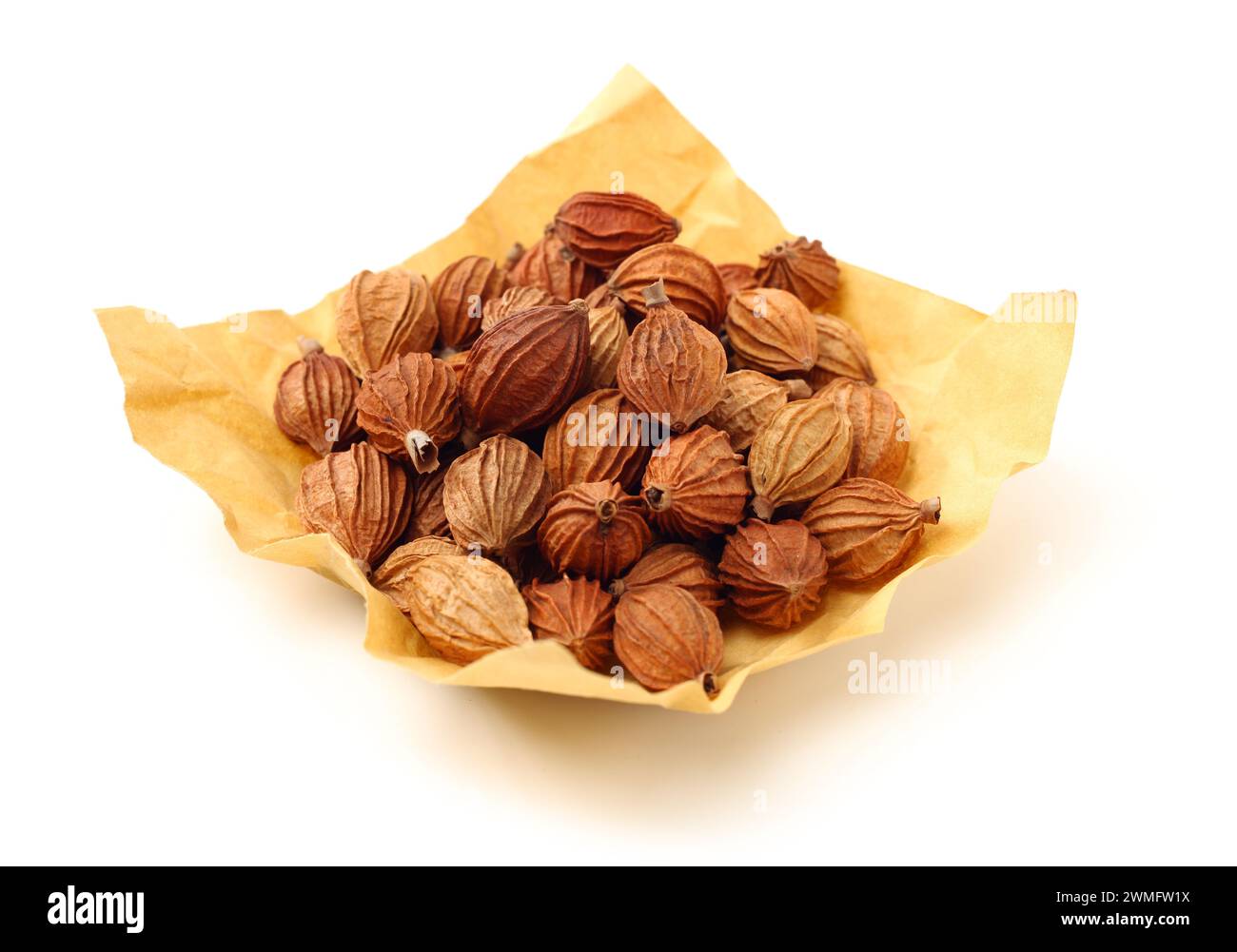 Dried Herbs, Latin name: Amomum villosum Lour. Chinese name: Xiang Sha ...