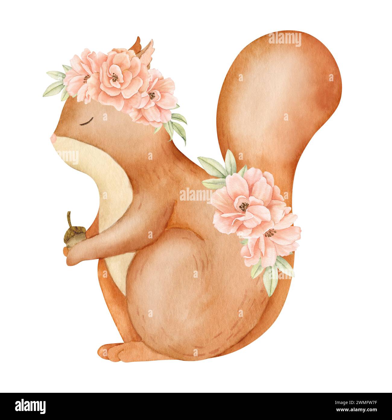 Red Squirrel with rose flowers. Hand drawn watercolor illustration of ...
