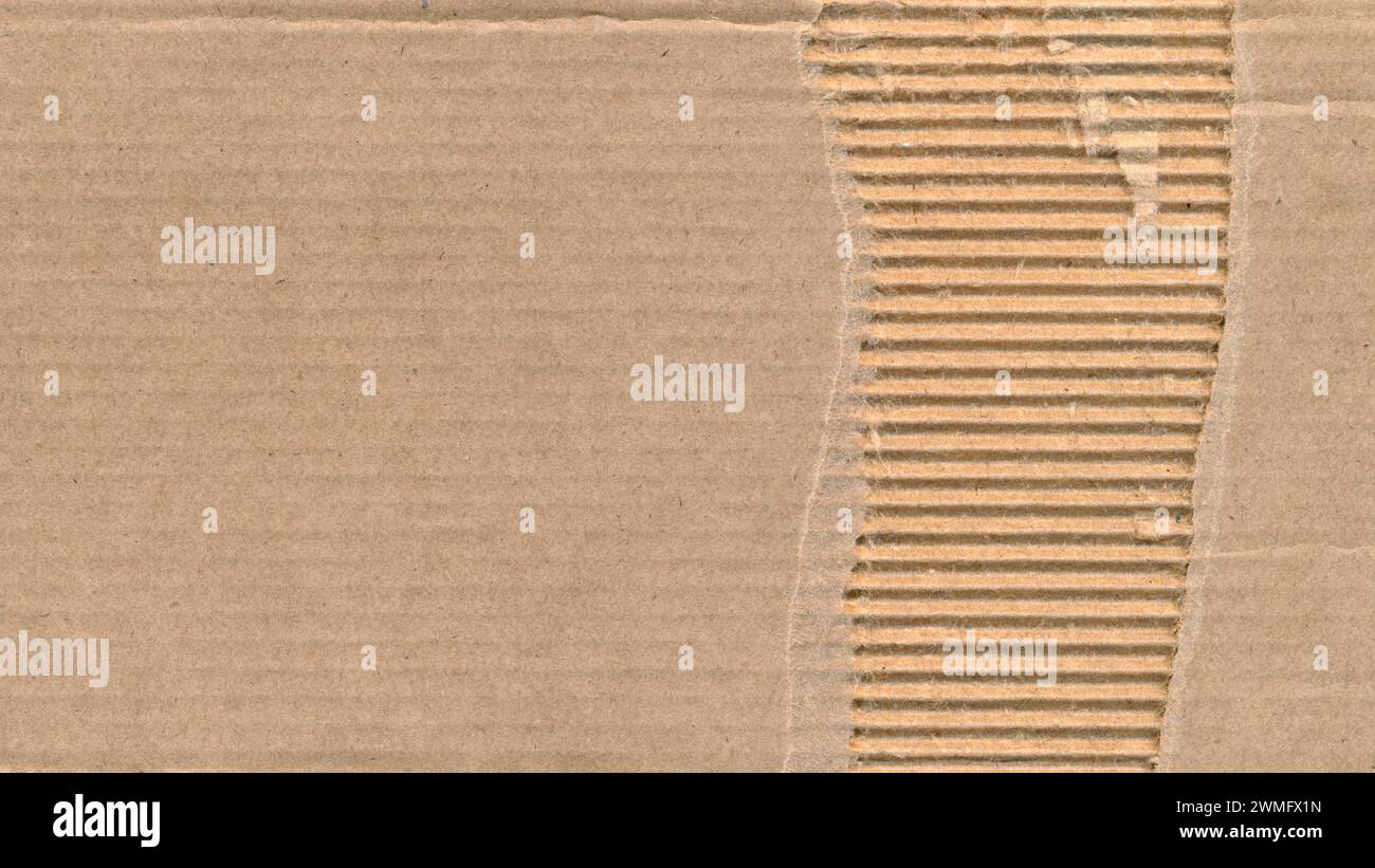 Wallpaper torn cardboard. Paperboard paper ripped frame, border ...