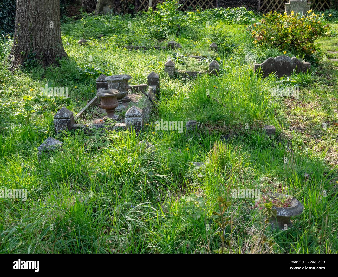 Overgrown graves in the churchyard of St Luke, Duston, Northampton, UK ...
