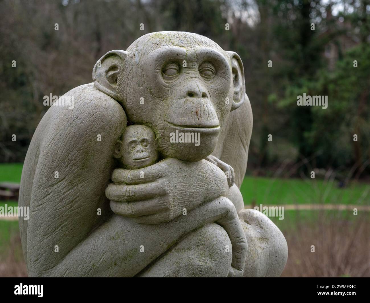 Limestone sculpture of a chimpanzee, Croyland Gardens, Wellingborough ...
