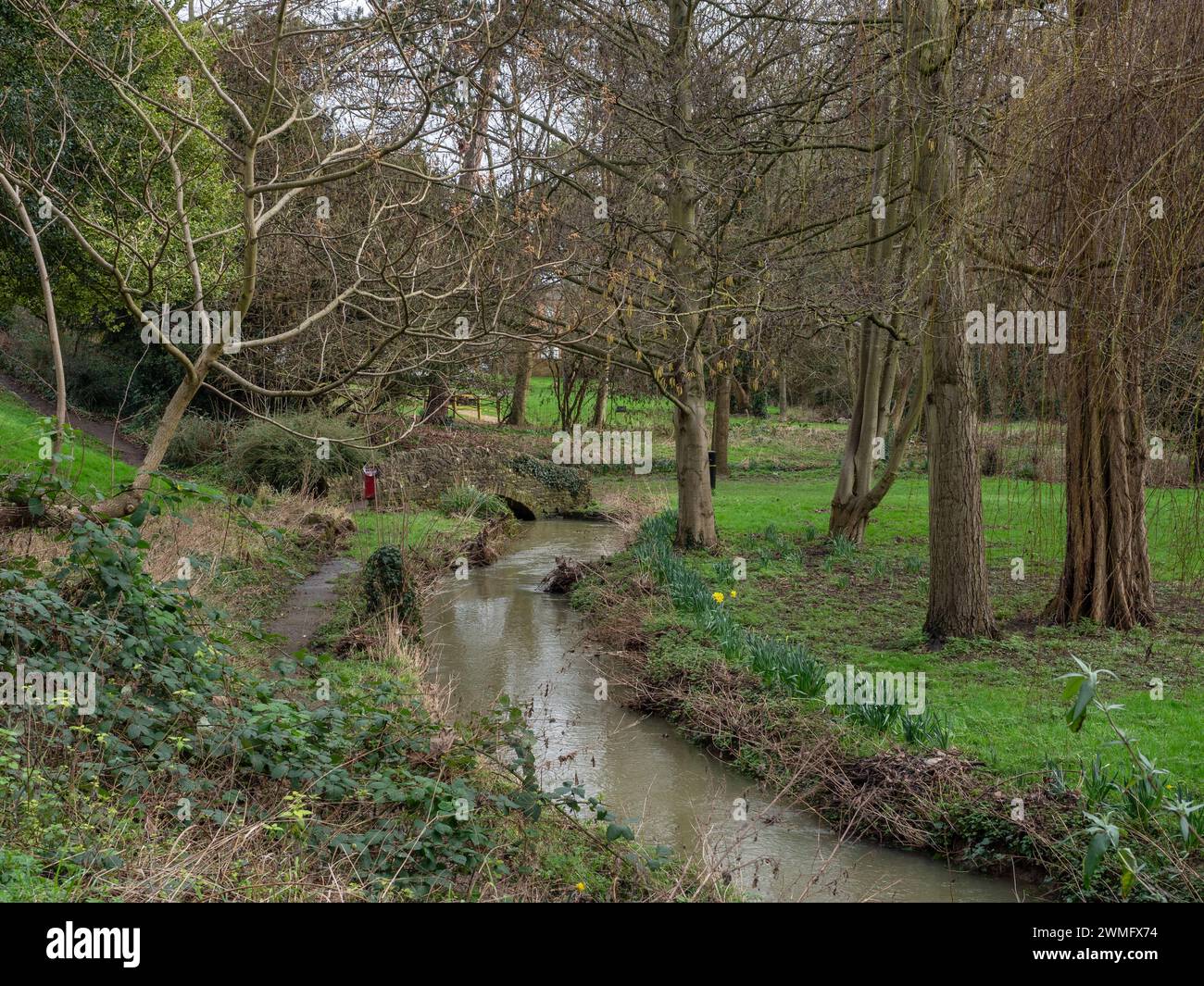 Croyland Gardens in winter with a stream running through it ...