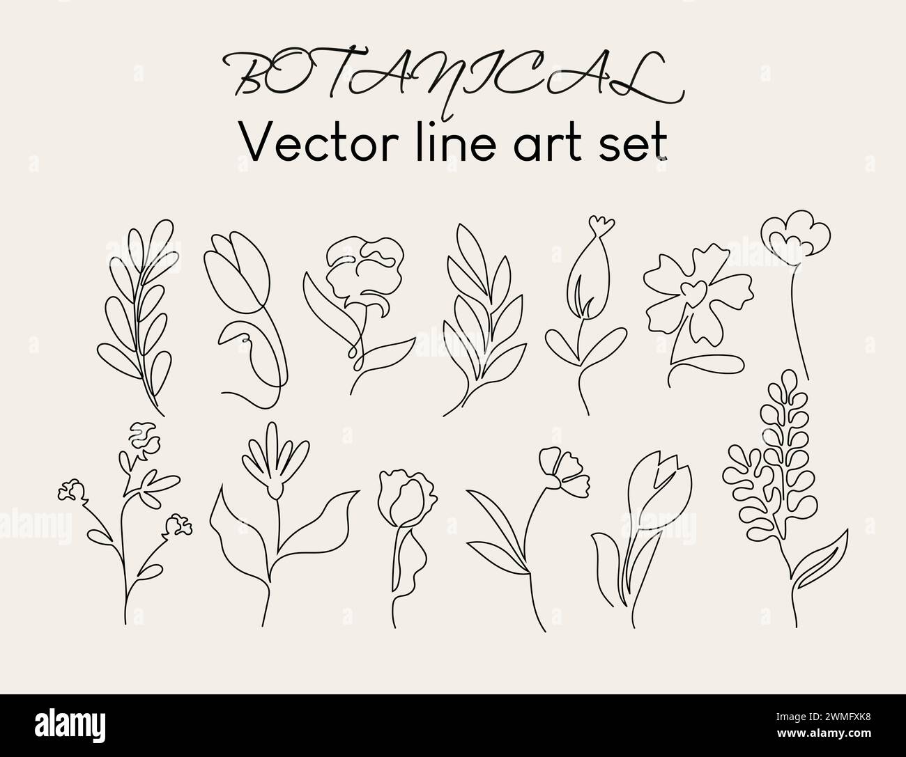 Botanical line art set. Floral handdrawn vector collection Stock Vector ...