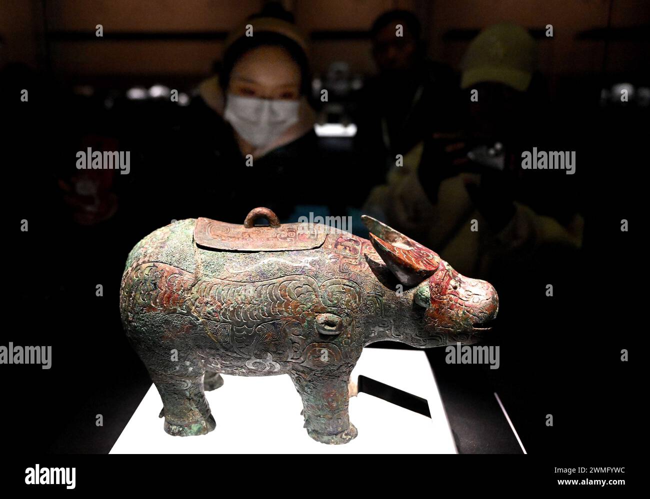 (240226) -- ANYANG, Feb. 26, 2024 (Xinhua) -- A visitor views an ...