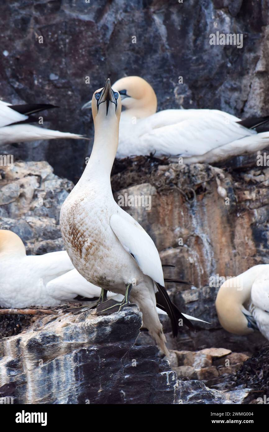 Soiled landscape hi-res stock photography and images - Alamy