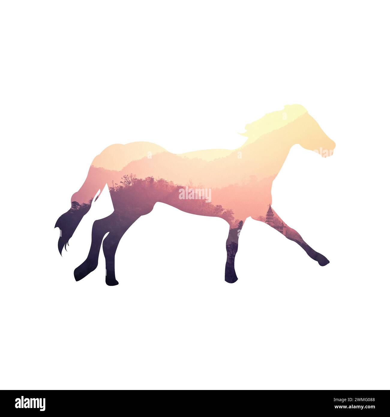 Equineanimalart hi-res stock photography and images - Alamy