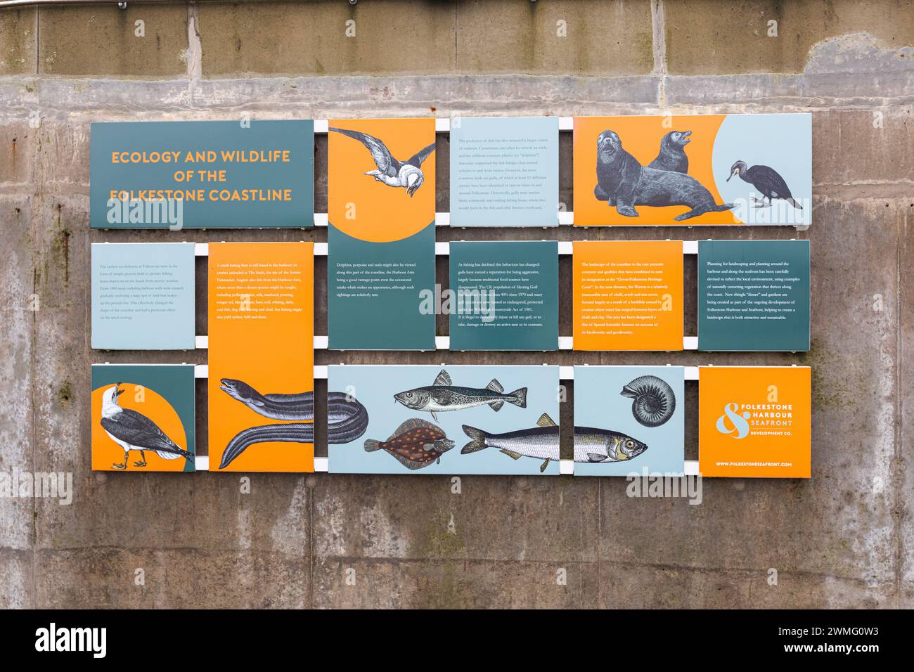 A sign showing the ecology and wildlife of the Folkestone coastline on ...