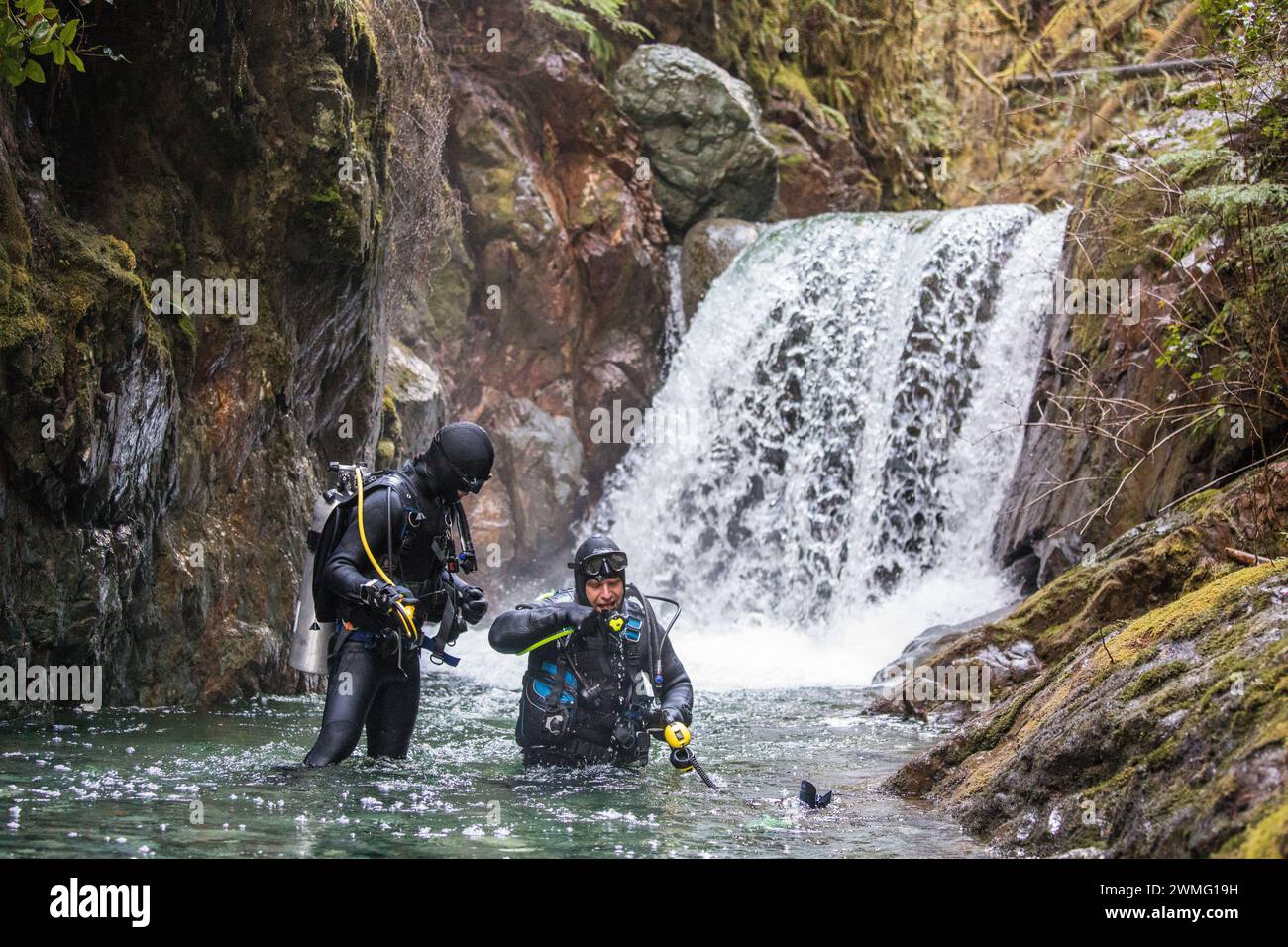 British diving team hi-res stock photography and images - Alamy