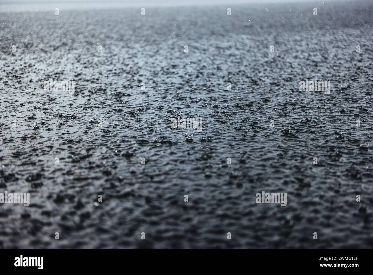 Heavy rain downpour water droplets on surface of lake Stock Photo - Alamy
