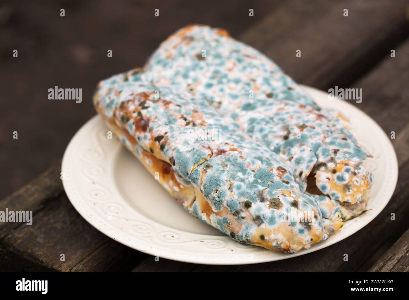 Fungus cake hi-res stock photography and images - Alamy