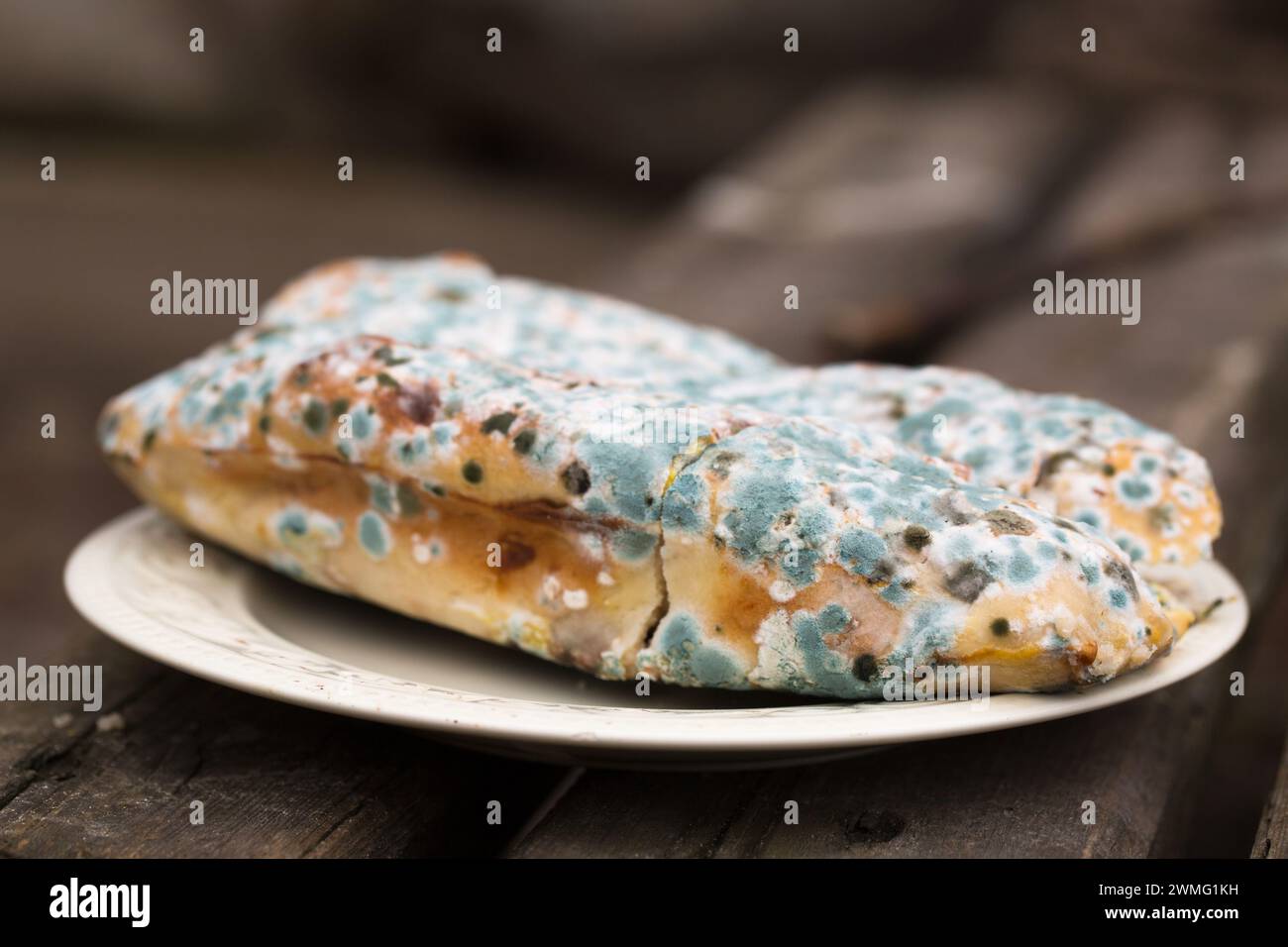 Fungus cake hi-res stock photography and images - Alamy
