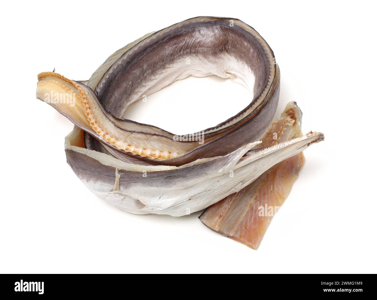 Dry moray eel over white background Stock Photo - Alamy