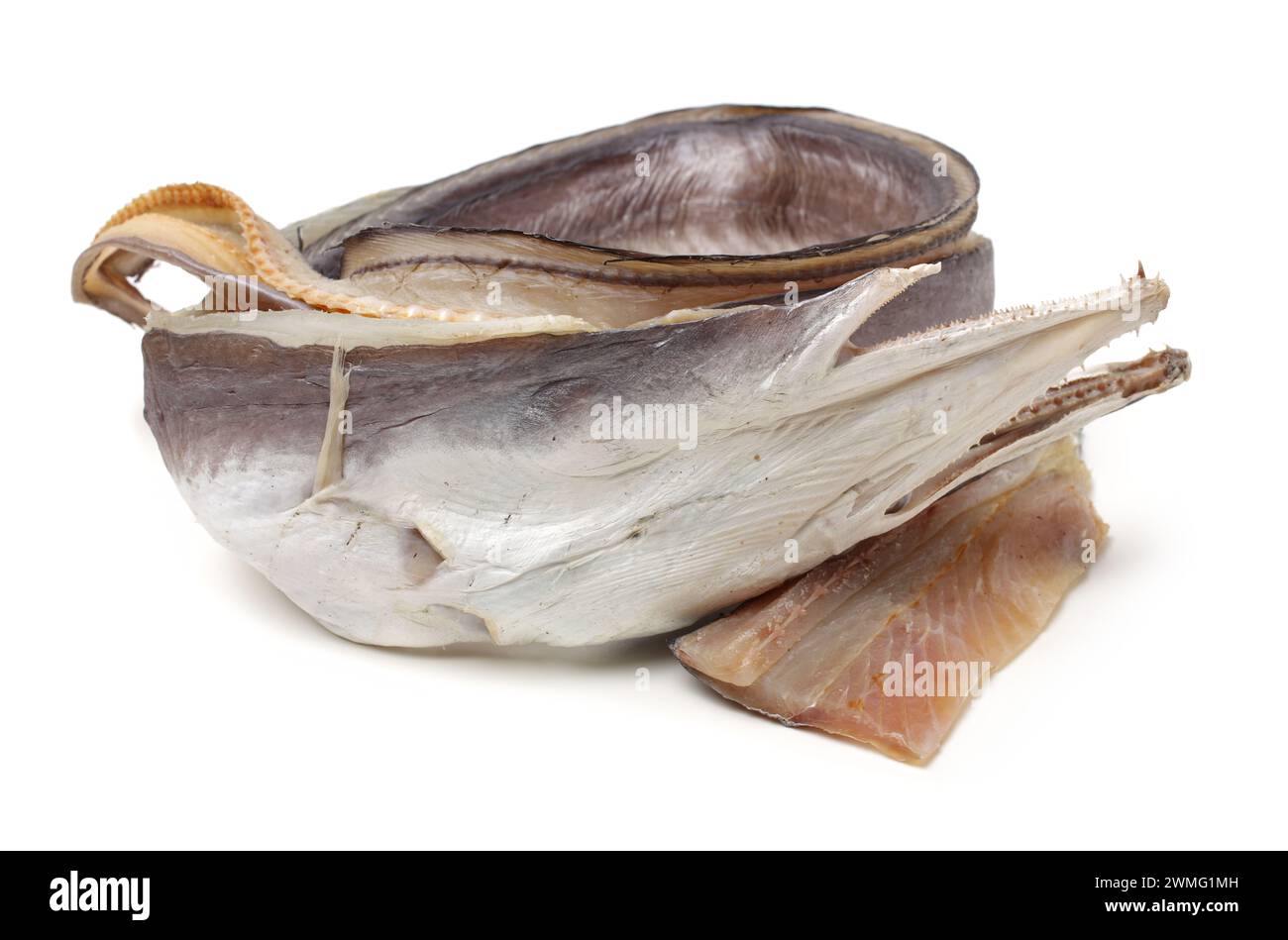 Dry moray eel over white background Stock Photo - Alamy