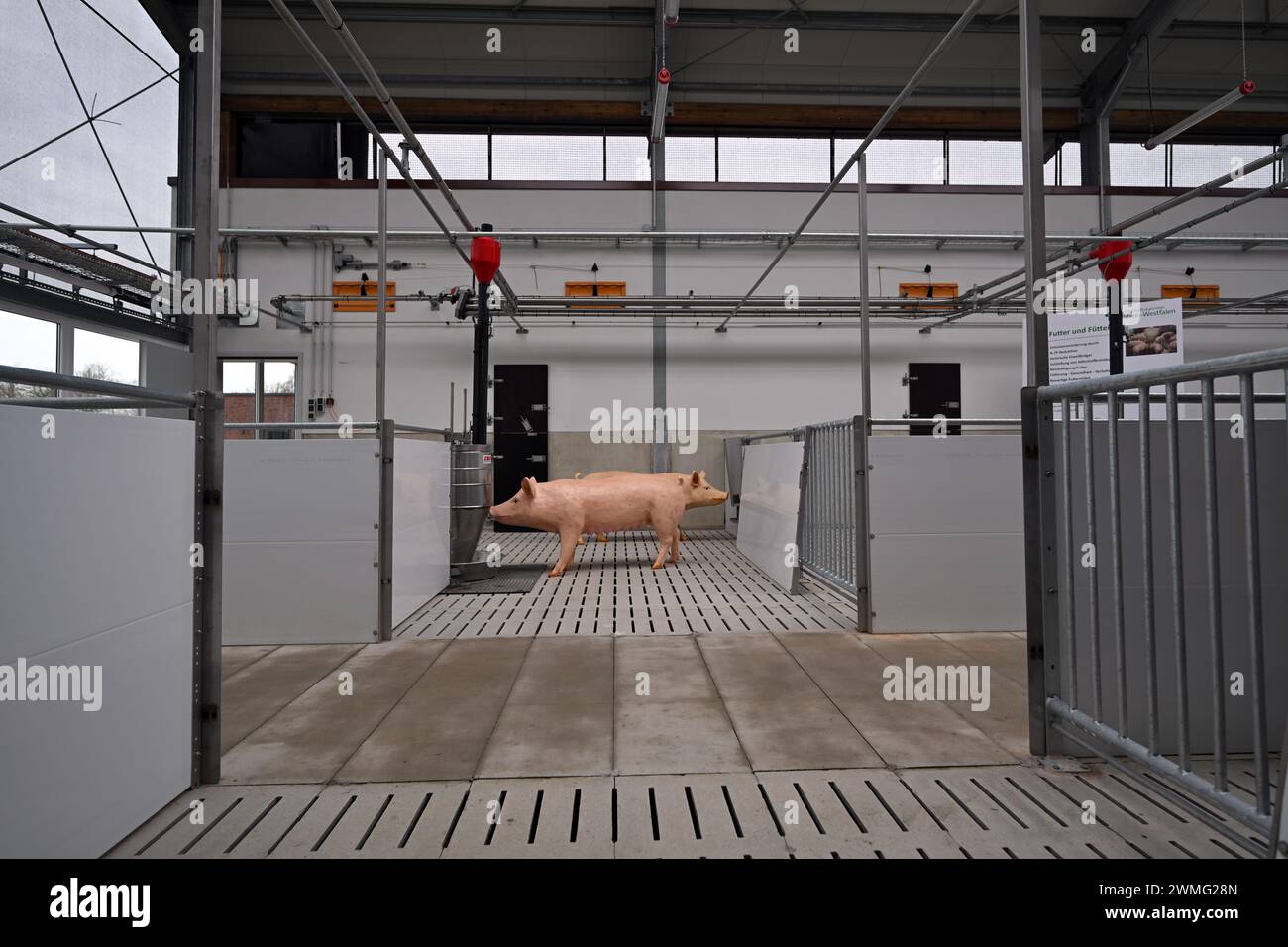 Bad farming practice hi-res stock photography and images - Alamy