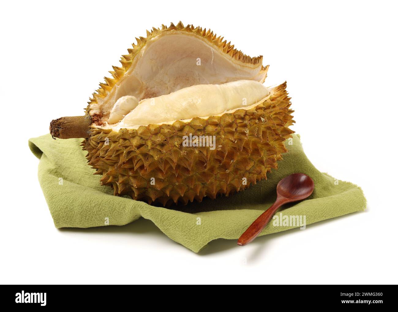 Durian fruit in south east asia, the king of fruits on white background ...