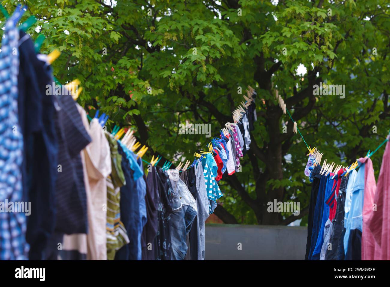 Clothes hanging on a tree hi-res stock photography and images - Alamy