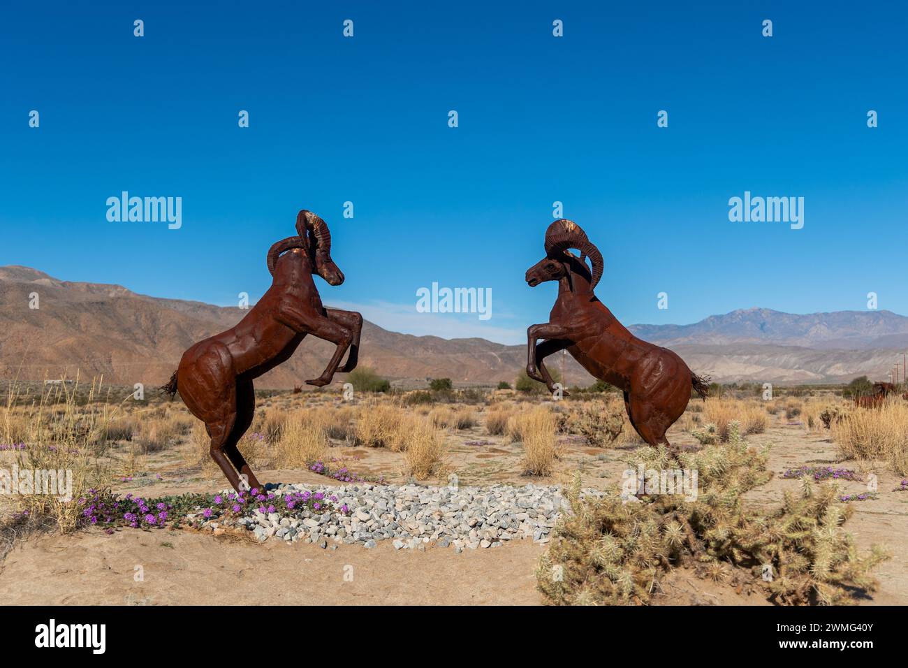 Rams fighting hi-res stock photography and images - Alamy