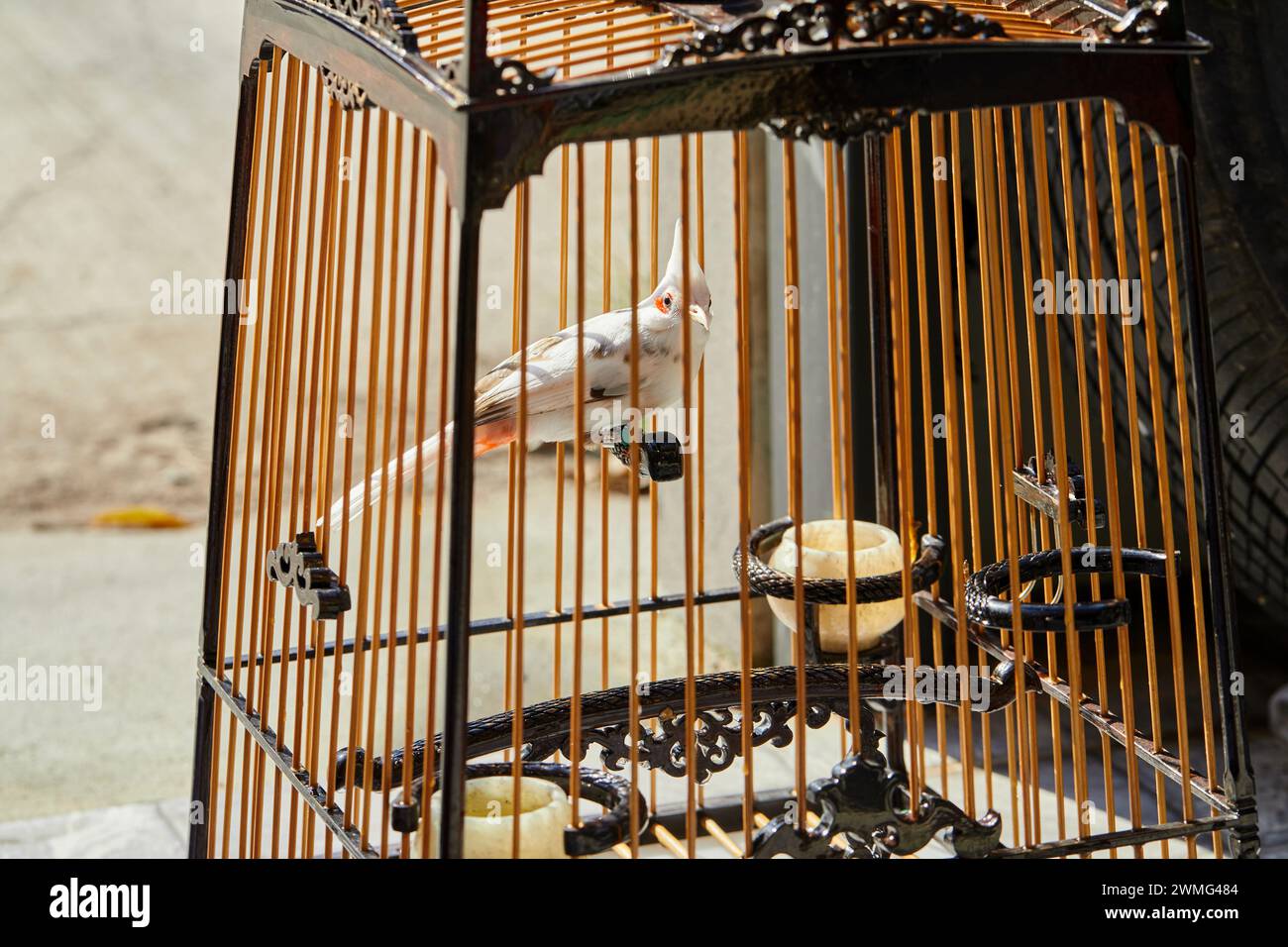 Surat thani prison hi-res stock photography and images - Alamy