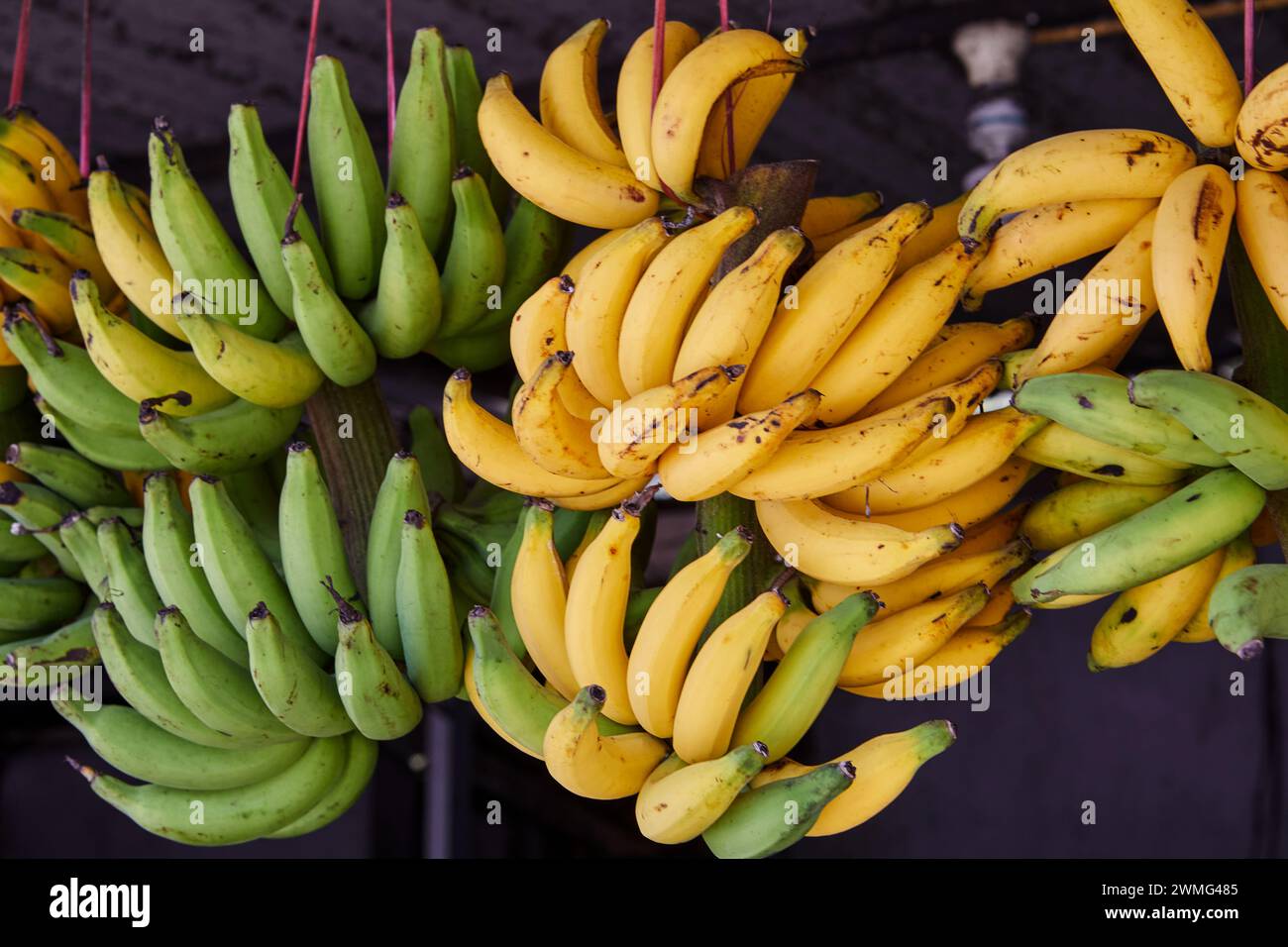 Bunch of ripe and raw bananas for sale at market stall Stock Photo - Alamy