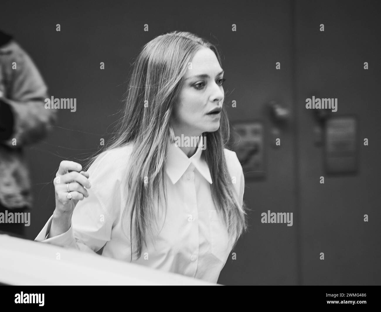 Amanda seyfried 2024 hi-res stock photography and images - Alamy