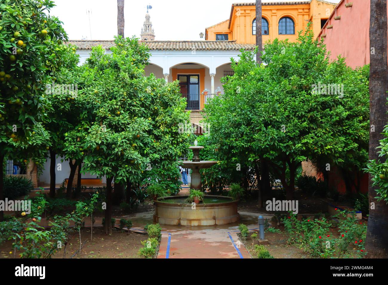 © Sylvestre/MAXPPP - séville, Spain. 26th Feb, 2024. ; .l'alcazar royal ...