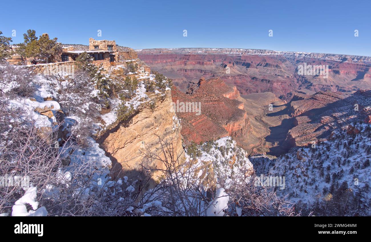Tree on edge grand canyon hi-res stock photography and images - Alamy