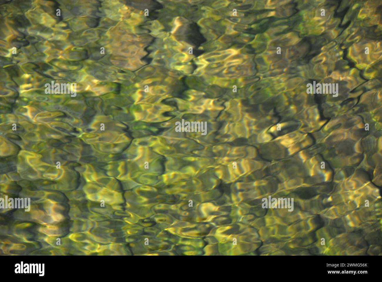 River stream with running water and pebbles as blurred background Stock ...