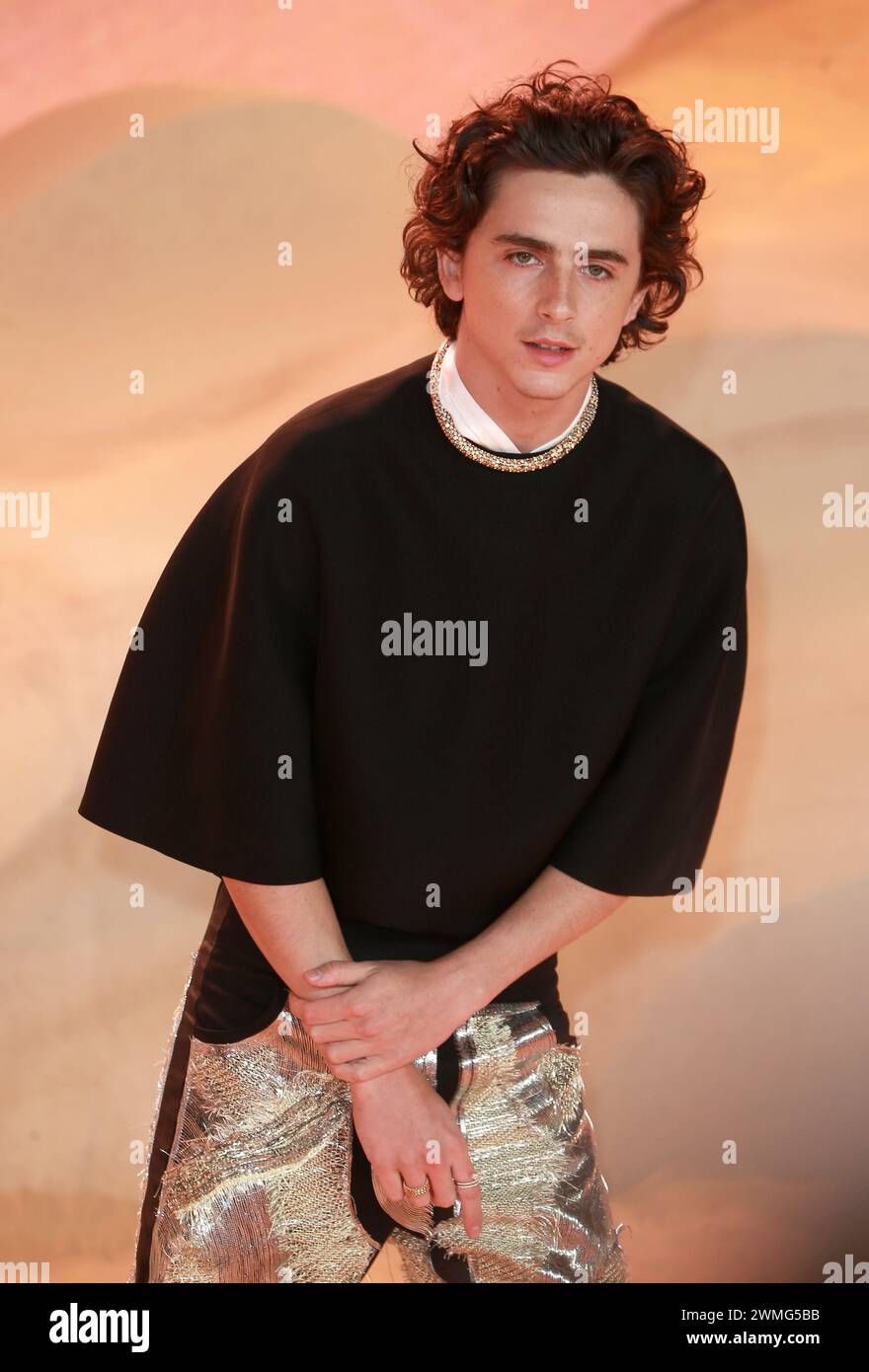 Timothée Chalamet attends the World Premiere of "Dune: Part Two" in ...