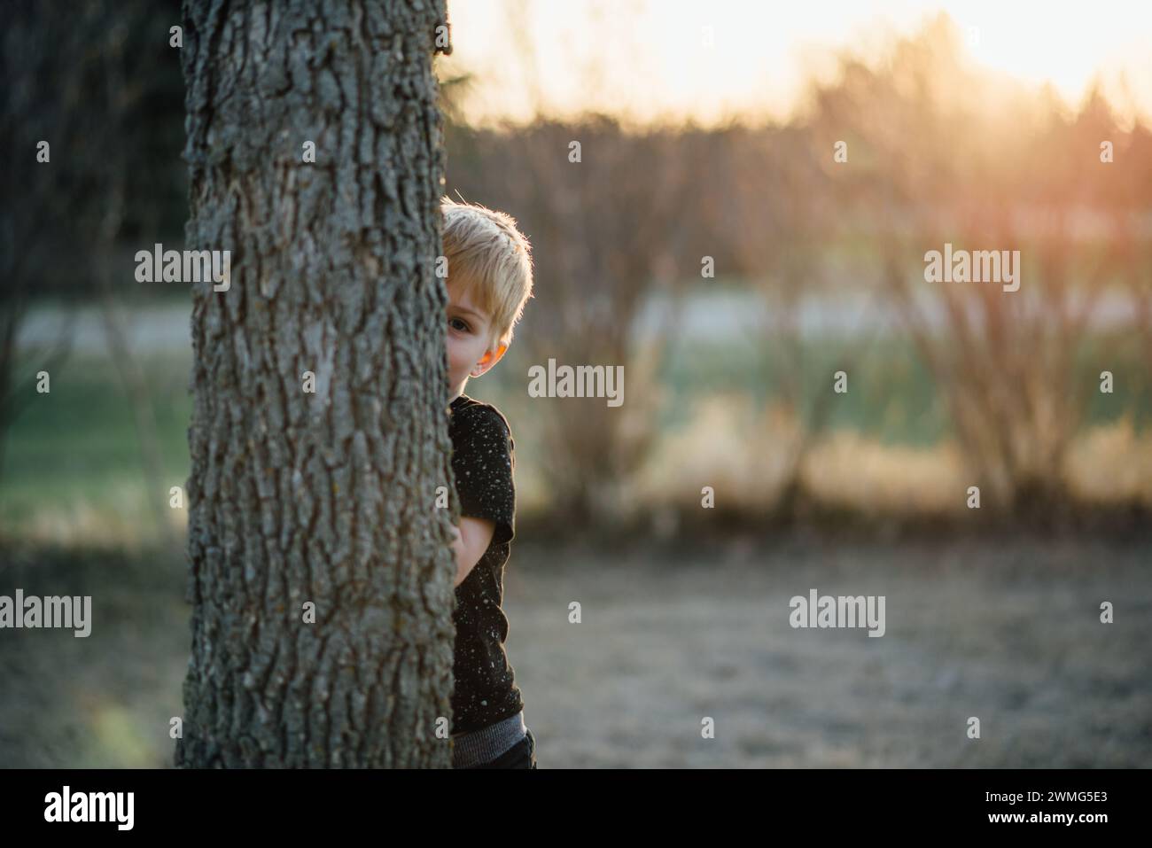 Child hiding behind tree hi-res stock photography and images - Alamy