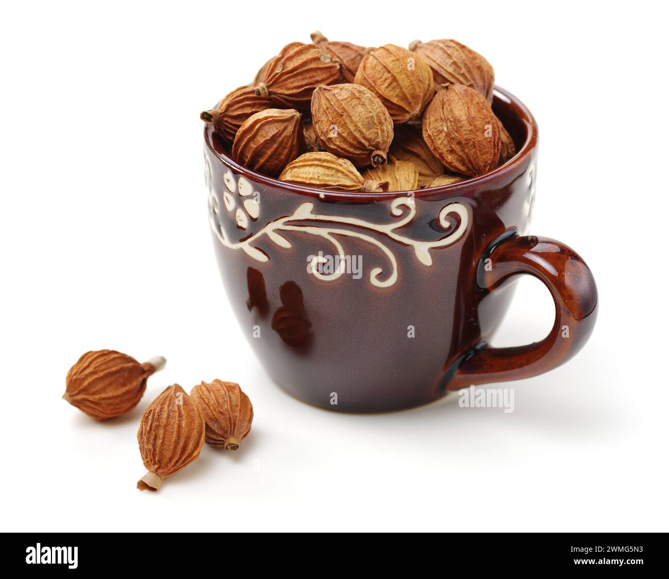 Dried Herbs, Latin name: Amomum villosum Lour. Chinese name: Xiang Sha ...