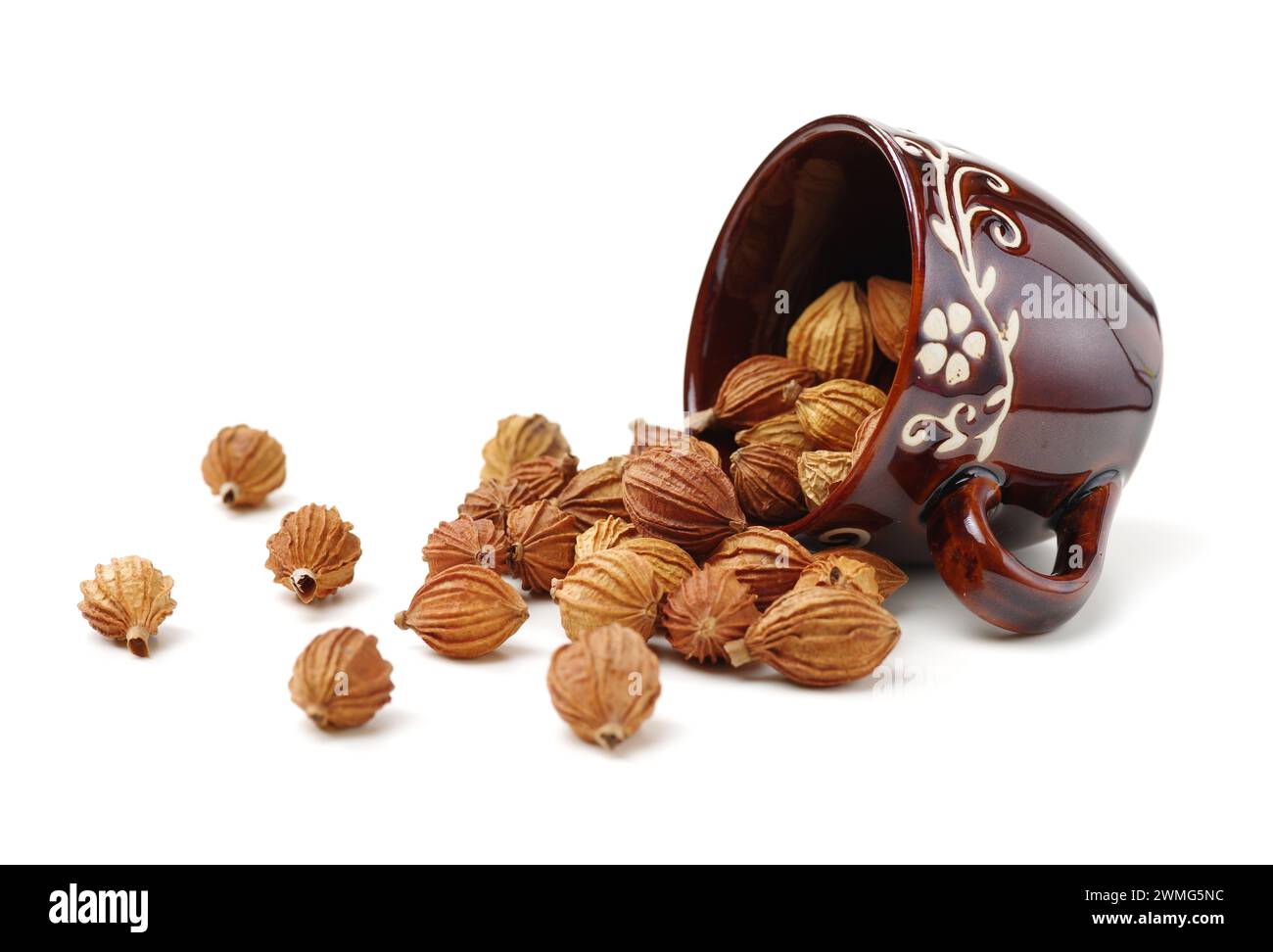 Dried Herbs, Latin name: Amomum villosum Lour. Chinese name: Xiang Sha ...