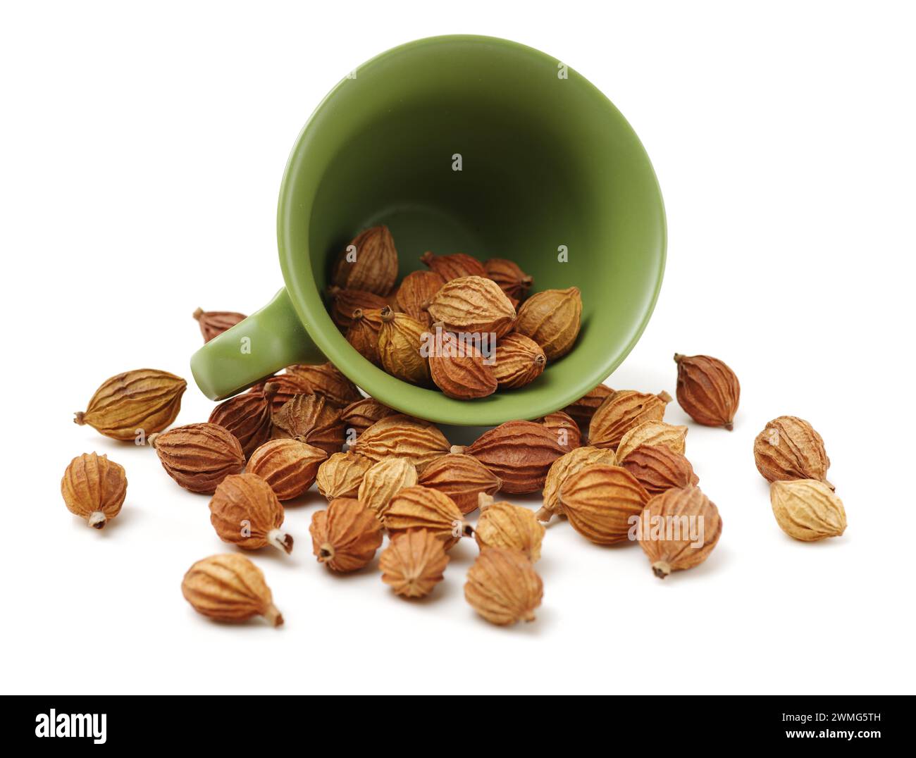 Amomi fructus hi-res stock photography and images - Alamy