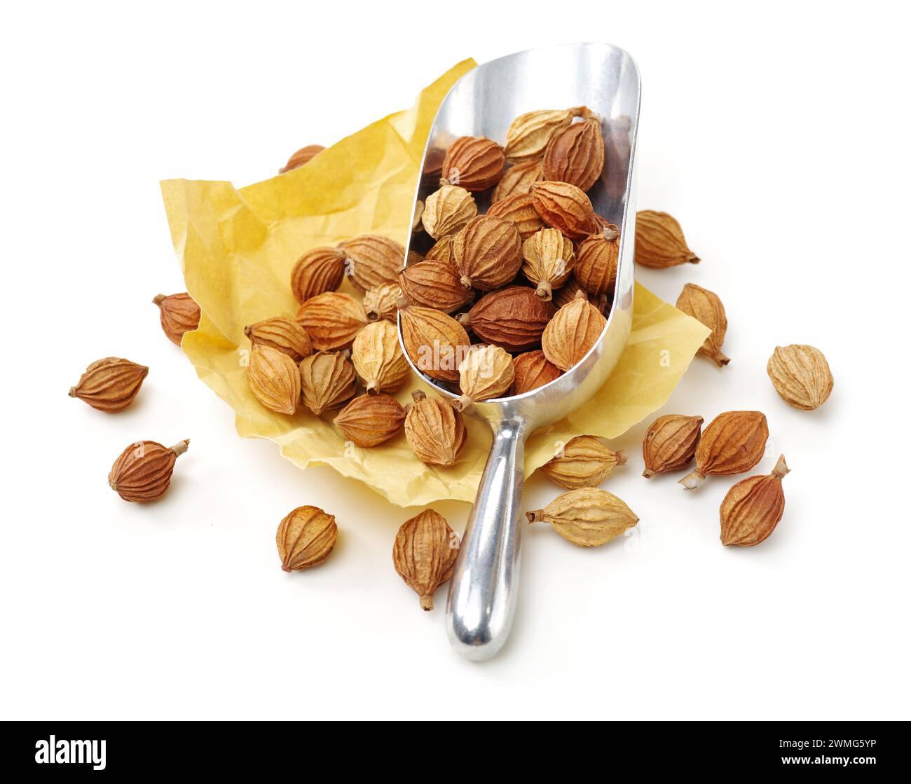 Dried Herbs, Latin name: Amomum villosum Lour. Chinese name: Xiang Sha ...