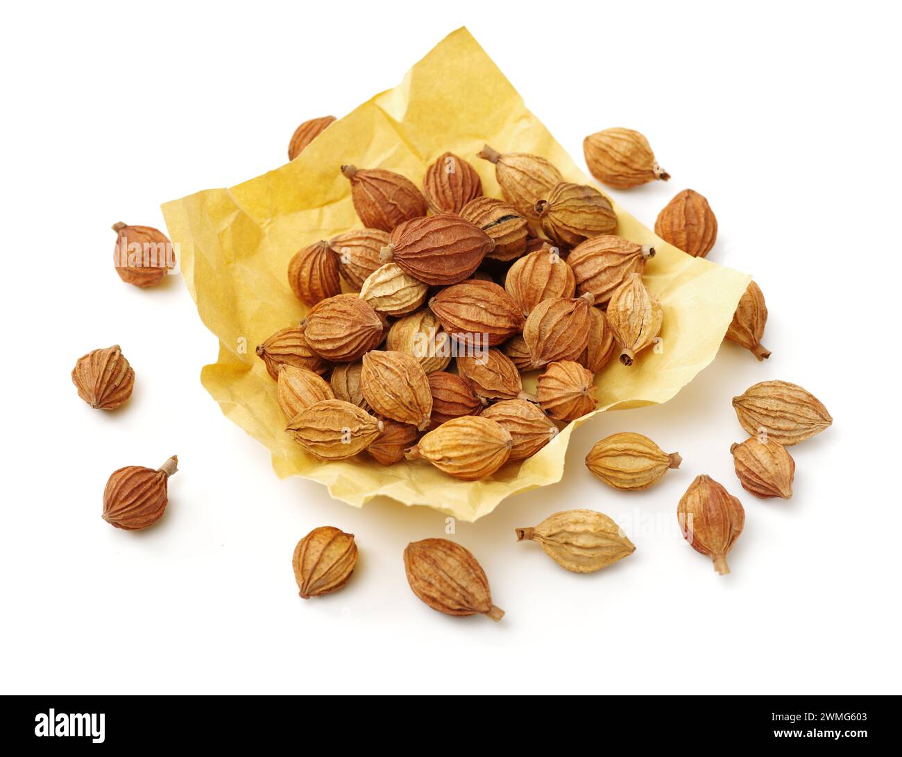 Amomi fructus hi-res stock photography and images - Alamy