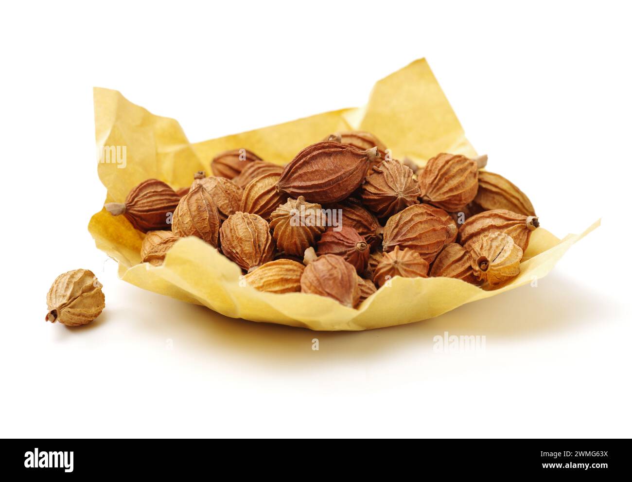 Traditional chinese medicine name Cut Out Stock Images & Pictures - Alamy