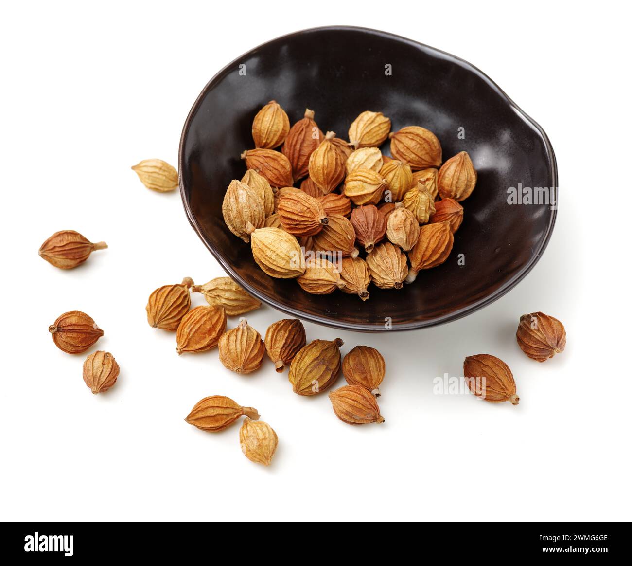 Dried Herbs, Latin name: Amomum villosum Lour. Chinese name: Xiang Sha ...