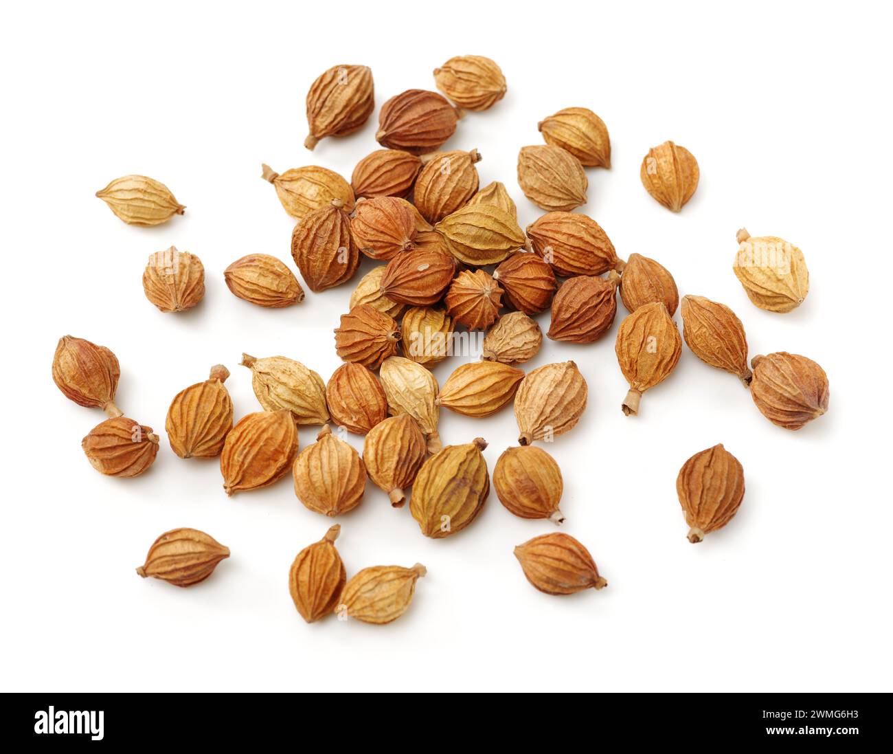 Amomi fructus hi-res stock photography and images - Alamy