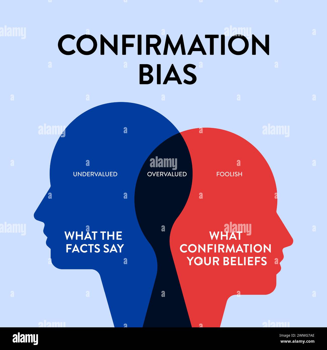 Confirmation Bias infographic diagram chart illustration banner with ... Confirmation Bias infographic diagram chart illustration banner with ...