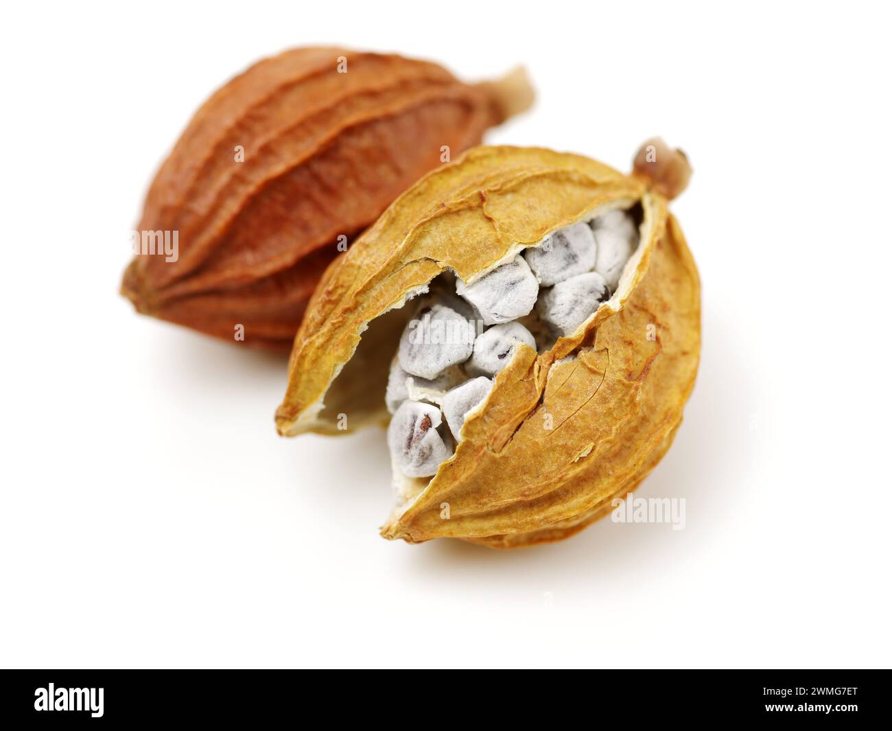 Dried Herbs, Latin name: Amomum villosum Lour. Chinese name: Xiang Sha ...